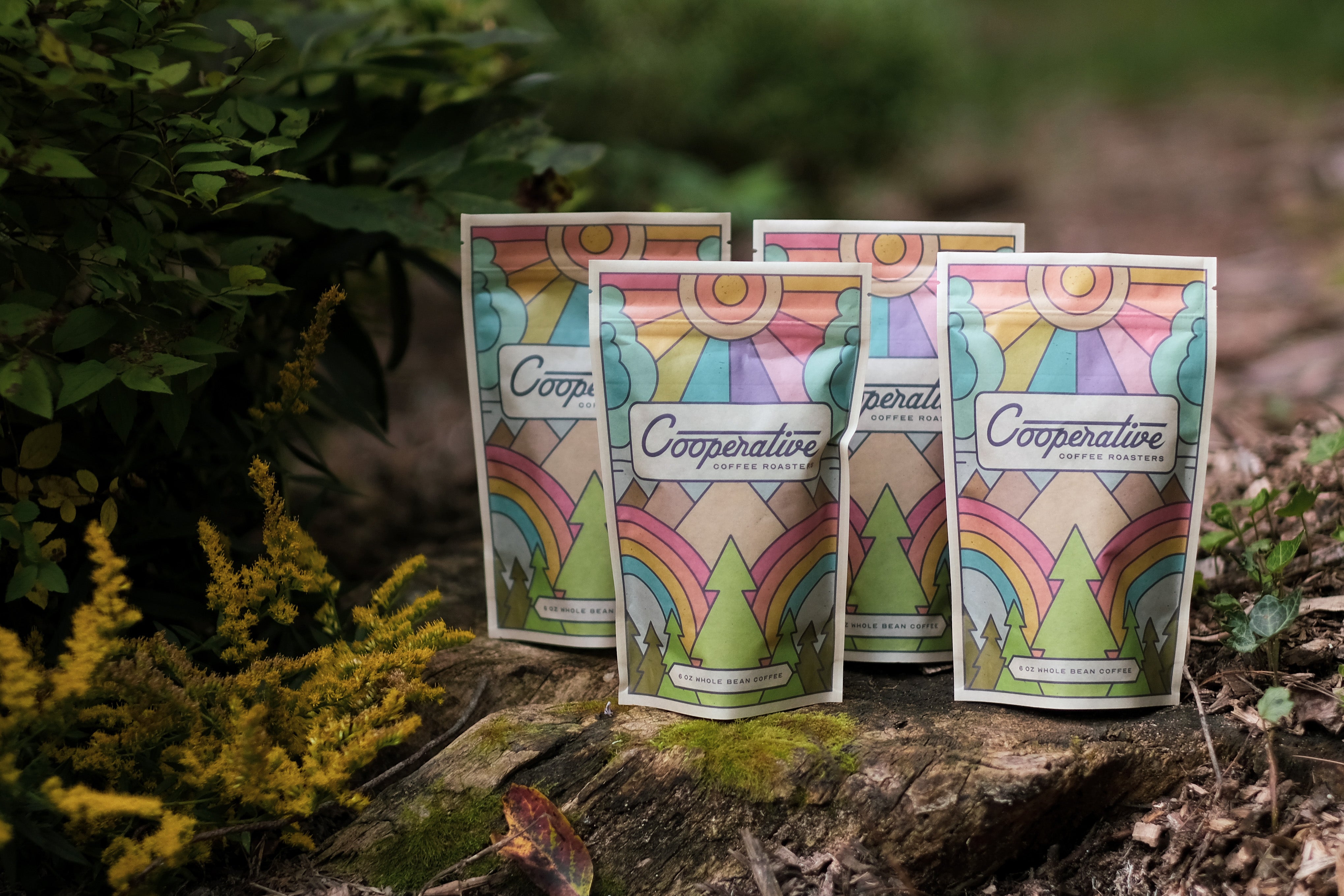 Roast to Order Coffee Beans NC | Asheville Coffee Roasters ...