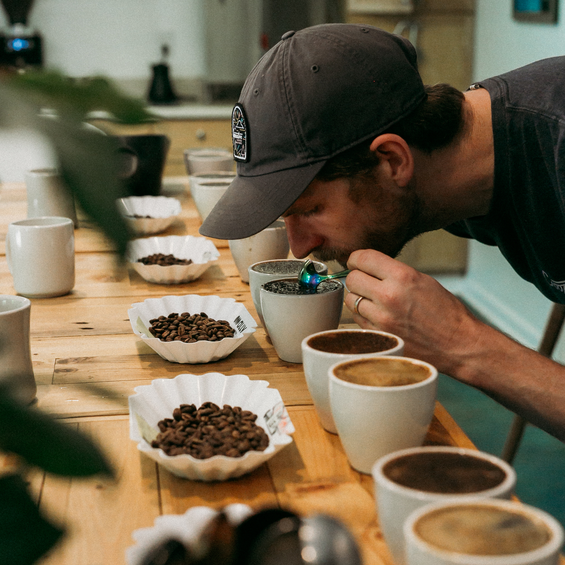 Coffee Beans Wholesale | Small Batch Coffee Roasters WNC – Cooperative ...